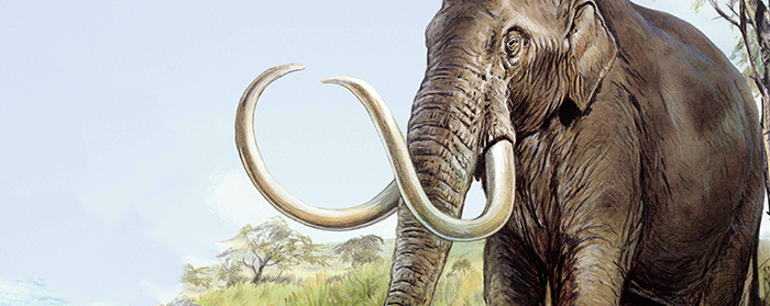 Mammoth Find Number & Operations Article for Students | Scholastic ...