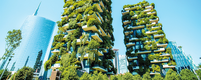 High-Rise Forest Engineering Article for Students | Scholastic ...