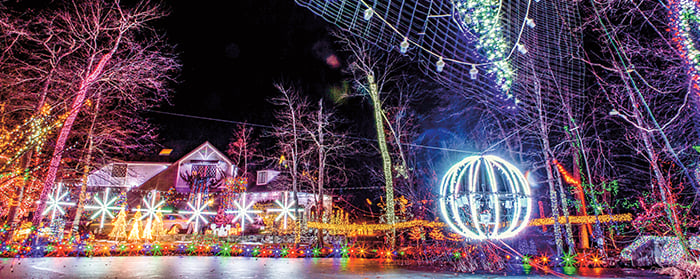 Light Up the Night Physical Science Article for Students | Scholastic ...