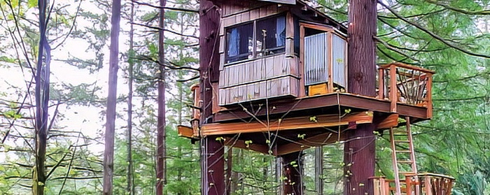 Tree House Builder