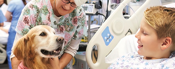 Dr. Dog? | Scholastic SuperSTEM Magazine