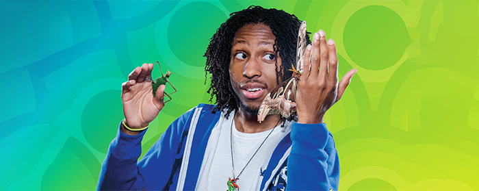 Insect Expert | Life Science Article for Students | Scholastic ...