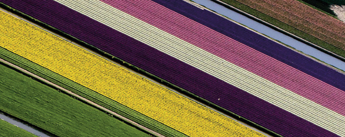 Explain This! | Scholastic SuperSTEM Magazine