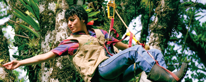 Treetop Scientist | Scholastic SuperSTEM Magazine