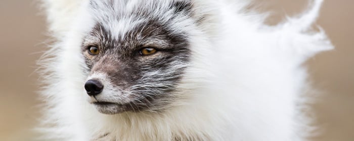 Explain This! Scientific Inquiry Article for Students | Scholastic ...