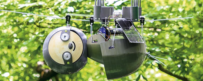 Wild Robots | Scholastic SuperSTEM Magazine